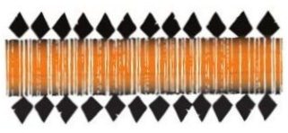 American Indian Summer Institute Application